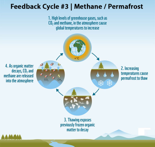methane feedback loop | Rapid Climate Change