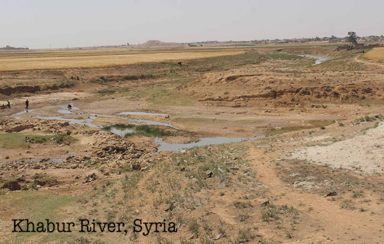 Snapshot Of Early 2022 Climate Shock | Rapid Climate Change